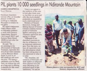 PIL plants 10 000 seedlings in Ndirande Mountain