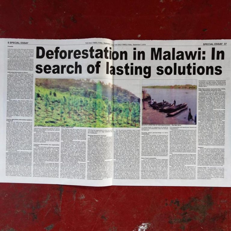 Deforestation in Malawi: In search of lasting solutions