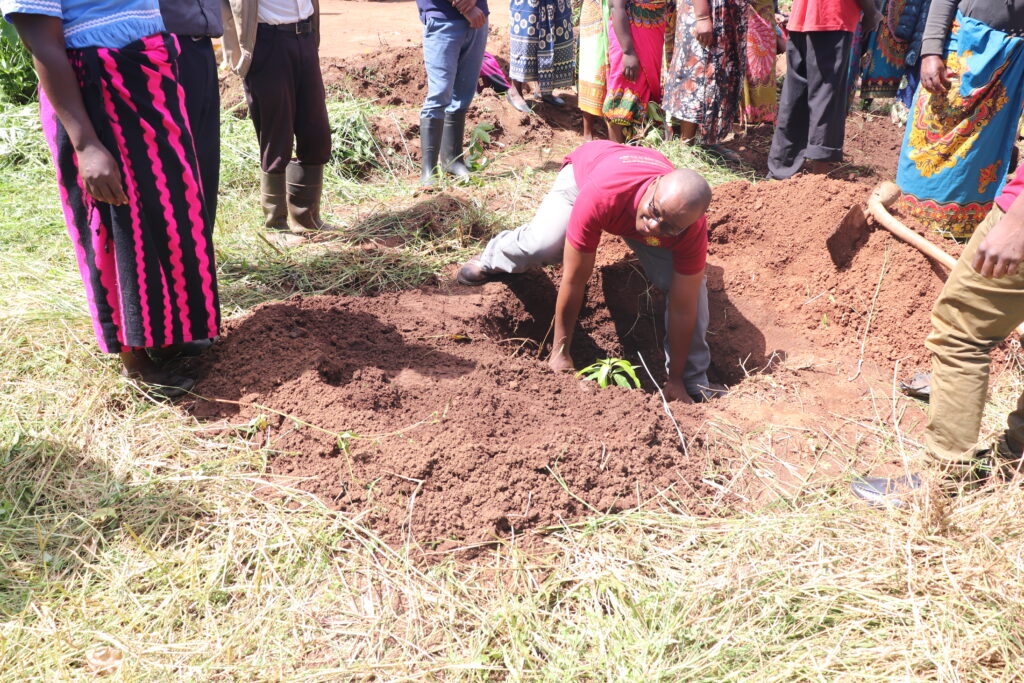 NGO urges people to plant fruit trees