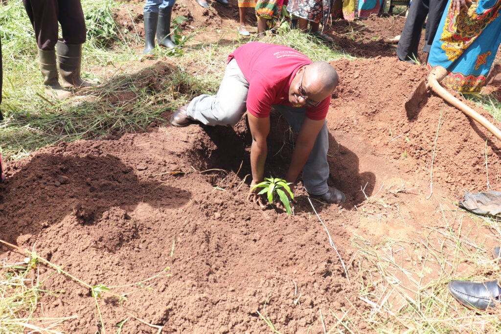 NGO urges people to plant fruit trees